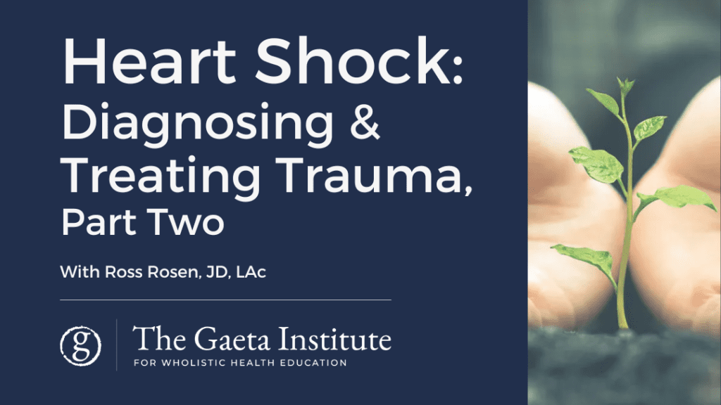 Heart Shock 2: Diagnosing & Treating Trauma - Gaeta Institute