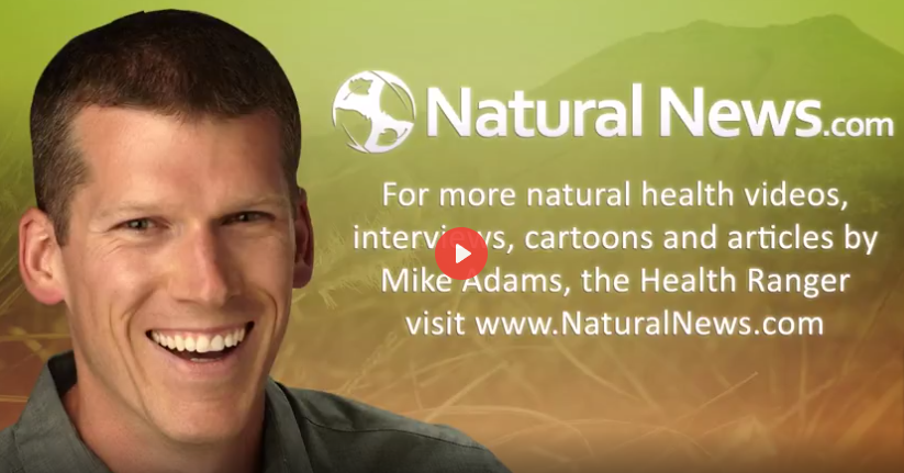 Video Library - Gaeta Institute